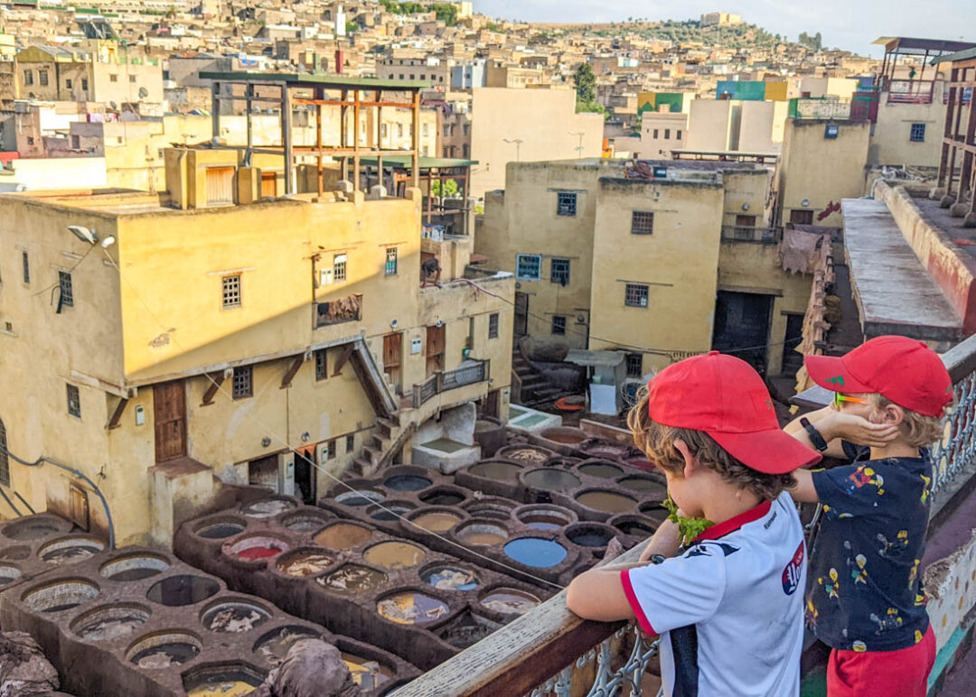 Fes with kids: top things to do in the heart of Morocco | TraveLynn Family
